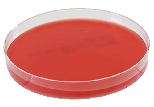 Columbia CNA Agar Plate - Select Gram Positive Isolation