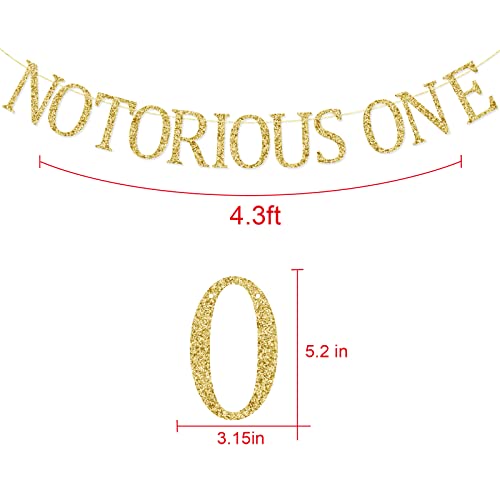 Get Notorious One Banner - Hip Hop 1st Birthday Decor