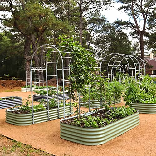 Vego Garden Modular Arched Trellis System Triple Section 6.0' Long ...
