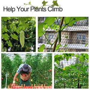 Trellis Net for Climbing Plants - Stretch to 5x5ft Elastic Grow Tent ...