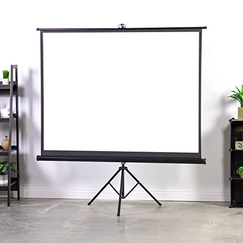 VIVO 100 inch Portable Indoor Outdoor Projector Screen, 100 Inch ...