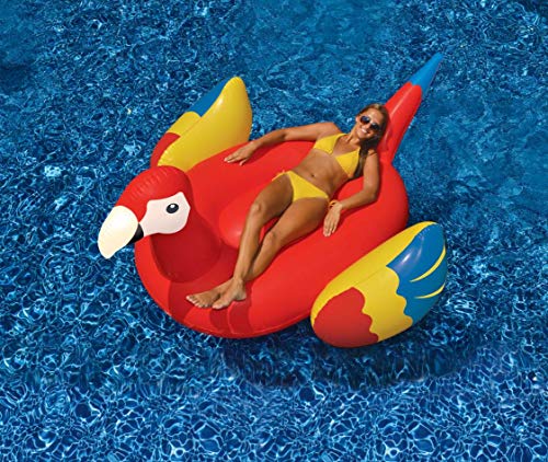 Swimline Giant White Swan/Flamingo/Black Swan/Parrot Floats for ...