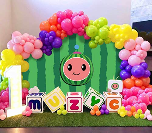 Cute Cartoon Watermelon Backdrop Kids 1st 2nd 3rd Happy Birthday ...