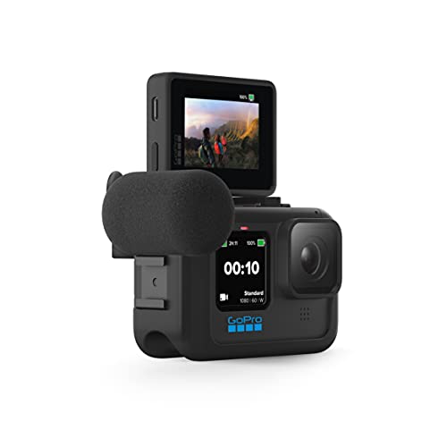 GoPro Display Mod - Official Accessory, 1080p — 🛍️ The Retail Market
