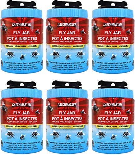Reusable Trap Fly Jar by Catchmaster - 6 Count, Ready to Use Outdoors ...