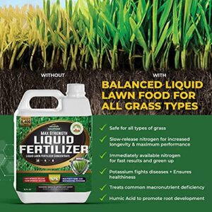 PetraTools Liquid Dethatcher (32oz) and Liquid 16-4-8 Lawn Fertilizer ...