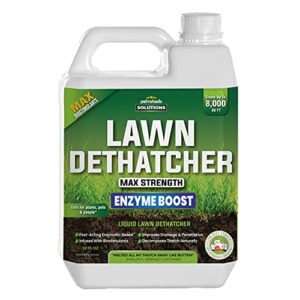 PetraTools Liquid Dethatcher (32oz) and Liquid 16-4-8 Lawn Fertilizer ...