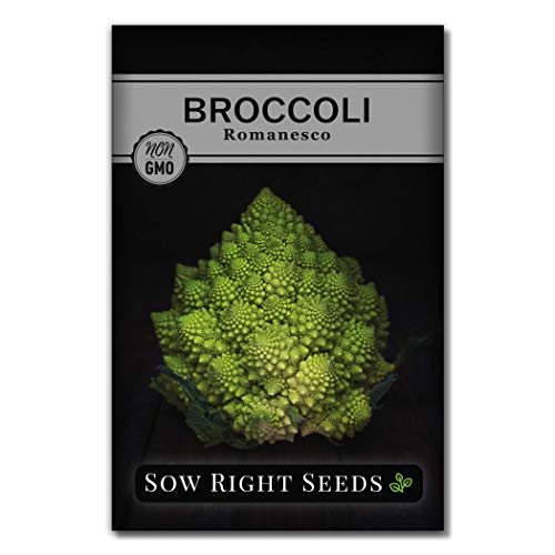 Sow Right Seeds - Broccoli Seed Collection for Planting - Individual ...