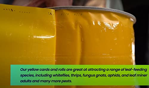Giant Yellow Sticky Traps - Fly Tape Roll, 15cm x 100m - Bug Sticky ...