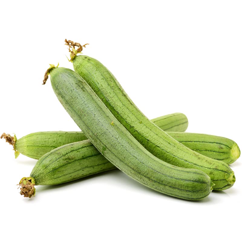 Super Long Luffa Seeds, 10 Seeds Asian Vegetable Seeds Garden Planting ...