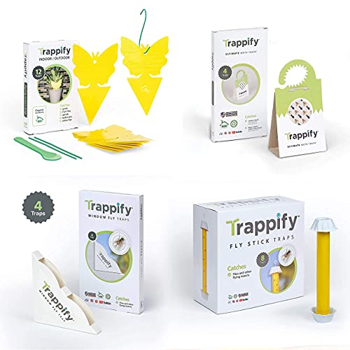 Trappify Sticky Fly and Moths Traps for Home Pest Control - Fly, Gnats ...