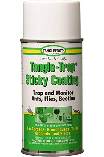 Tanglefoot Tangle-Trap Sticky Coating (Aerosol), 10 oz. — 🛍️ The Retail ...