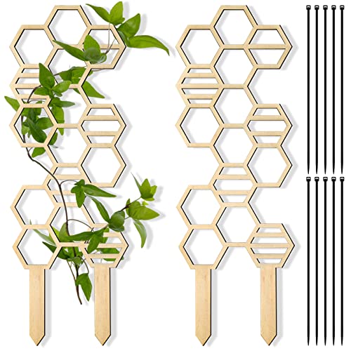 2 Pieces Wooden Small Indoor Trellis Plant Trellis for Climbing Plants ...