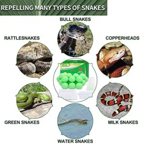 20Pcs Snake Away Repellent, Snake Repellent Balls for Outdoors Indoor ...
