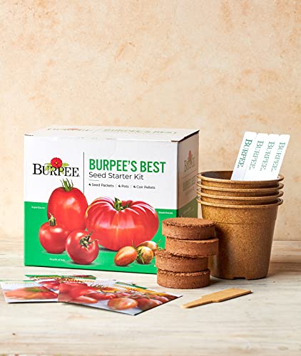 Burpee Best Starter Kit | SuperSauce, Fourth of July, Shimmer ...