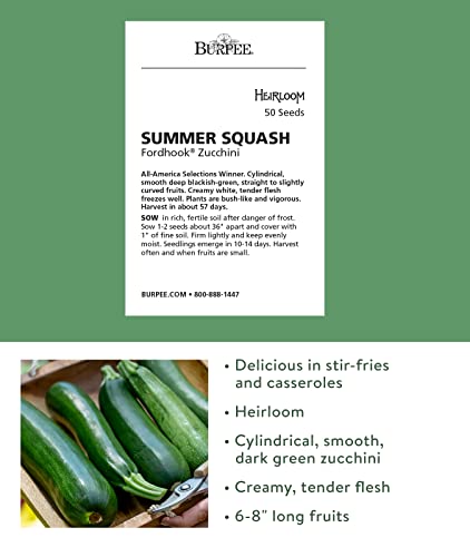 Burpee Fordhook Zucchini Summer Squash Seeds 50 seeds — 🛍️ The Retail ...