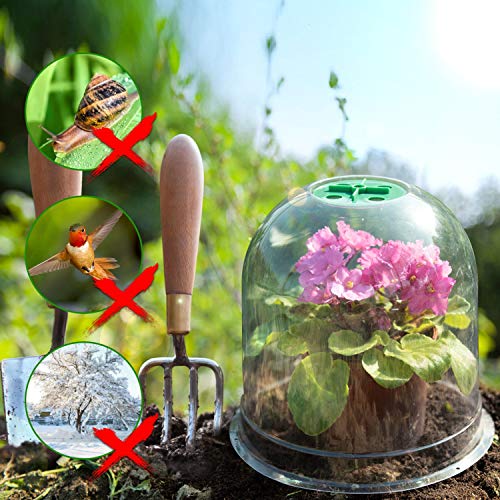 Vumdua Cloche Garden Dome, 6 Pack Plant Covers, Clear Plastic Dome ...