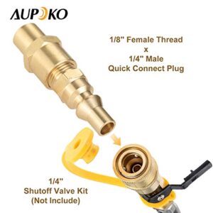 Aupoko 1/4 inch RV Quick Connect Adapter Conversion Fitting, Propane ...