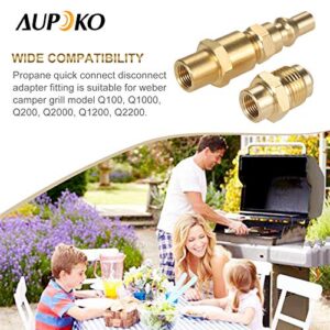 Aupoko 1/4 inch RV Quick Connect Adapter Conversion Fitting, Propane ...