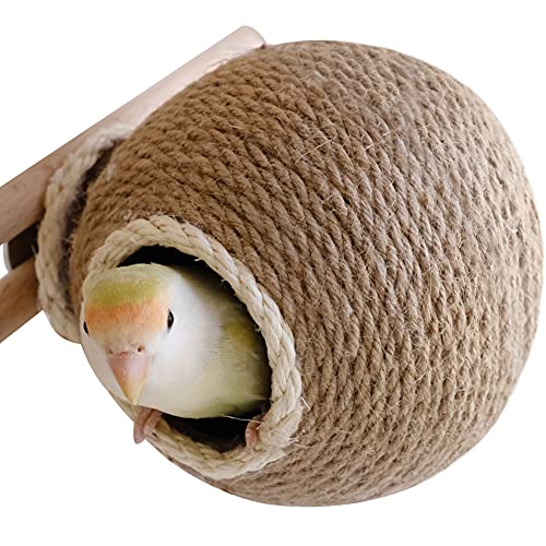 Kelendle Natural Coconut Husk Bird Nest Coco Shell Bird House Bird ...