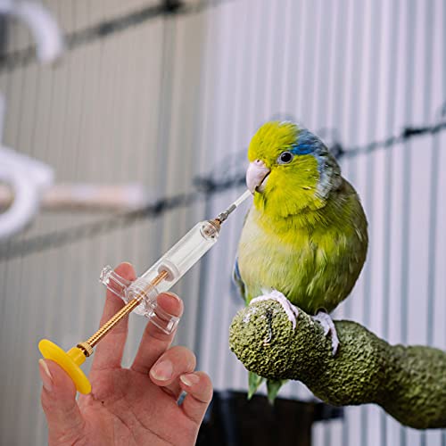 POPETPOP Birds Hand Feeding Syringe Bird Feeding Syringe, Birds Feeding ...