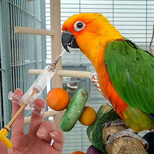 POPETPOP Birds Hand Feeding Syringe Bird Feeding Syringe, Birds Feeding ...