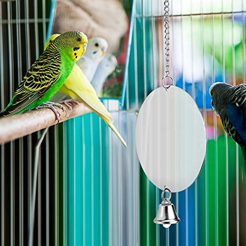 Stainless Steel Bird Mirror, Budgie Toys Mirror, Parrot Mirror, Bird ...