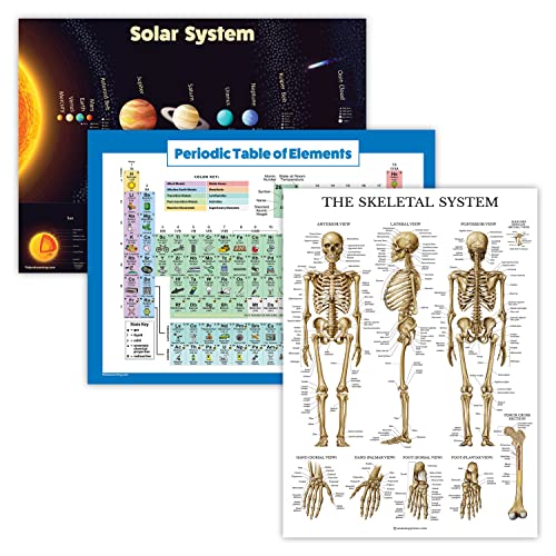 Palace Learning 3 Pack - Solar System Poster + Periodic Table of The ...