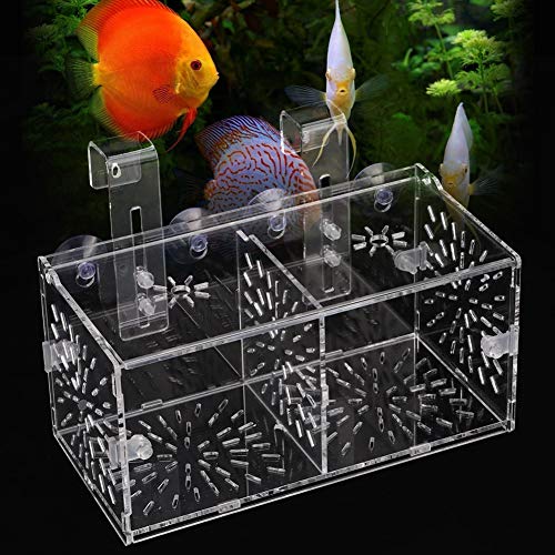 Aquarium Breeder Box, Acrylic Transparent Fish Breeding Box Tank ...