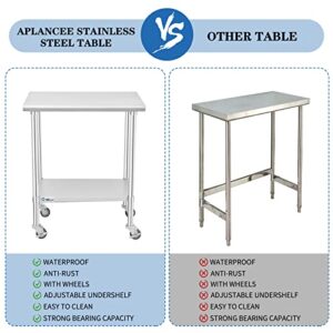 Aplancee Stainless Steel Table, 30 x 24 Inches Prep & Work Table with ...