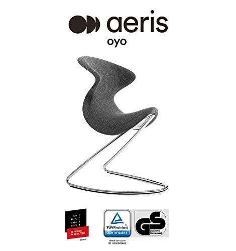 aeris OYO Signature Design Chair for Multiple Sitting Positions ...