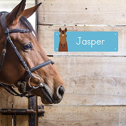 Personalized Steel Horse Stall Stable Barn Name Plate in Color — 🛍️ The ...