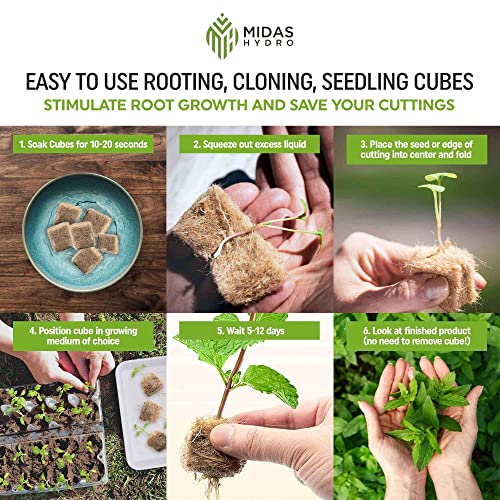 Rooting Cubes for Cloning Kit - Biodegradable Root Booster for Fast ...