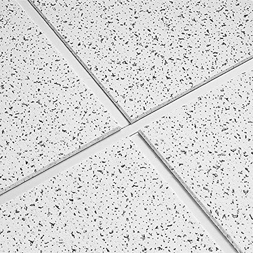 Armstrong Ceiling Tiles; 2x2 Ceiling Tiles - 16 pcs White Ceiling Tiles; Acoustic Ceilings for ...