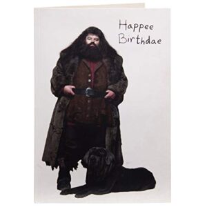Harry Potter Hagrid Happy Birthday Cake Pop-Up Greeting Card - Deluxe ...