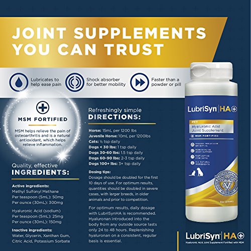 Lubrisyn Hyaluronic Acid + MSM Joints Supplement, 8oz: Natural Pure HA ...