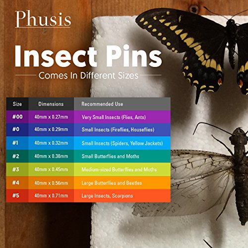 Phusis Stainless Steel Insect Pins - Size #5 - Set of 100 - for ...