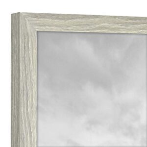 MCS Gallery Essential Picture Frames, Photo Gallery Wall Frame Set with ...