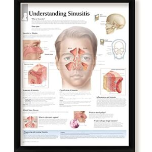 Set of 4 Framed Medical Posters Ear, Nose and Throat, Understanding ...
