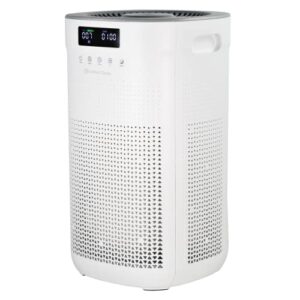 Comfort Zone Clean CZAP602SWT 3-Speed, Smart WiFi, True HEPA Air ...
