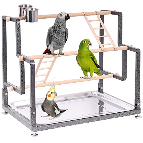 Bird Playground, Playstand for Small to Large Birds with Collapsible ...