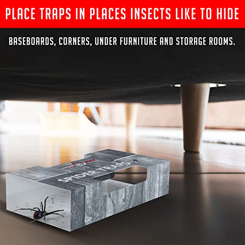 Spider Traps for Inside Your Home (16 Traps) - Spider Catcher Insect ...