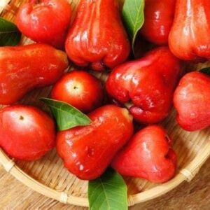 MITRAEE 100 Rose Apple Fruit Seeds — 🛍️ The Retail Market