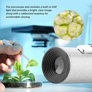 Mini 100X Microscope Kids Pocket Microscope Pen with Built in LED Light ...