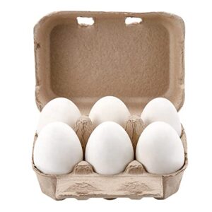 Vintage Jumbo Duck Egg Cartons 20 Pack, Half Dozen Egg Carton for ...