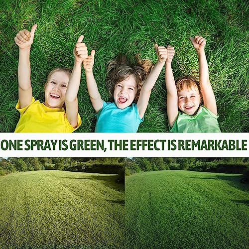 8 PCS Green Grass Lawn Spray, Greenrevive Hydroseeding Lawn Solution ...