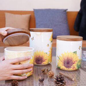 Sunddo Sunflower Ceramic Canister Sets for Kitchen Counter,Tea Coffee ...