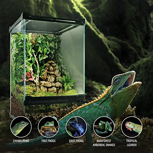 Reptile Tall Glass Terrarium, Vertical Tank Starter Kit, 8x8x12in Mini ...