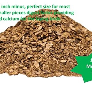 Pacific Oyster Shells - Crushed Oyster Shell Calcium Supplement for Egg ...