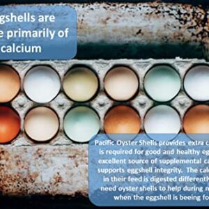 Pacific Oyster Shells - Crushed Oyster Shell Calcium Supplement for Egg ...